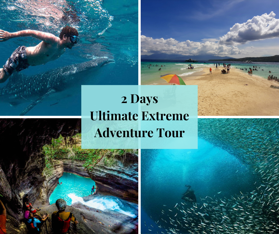 2-Day Cebu Ultimate Extreme Adventure Tour - Oslob Whale Shark Watching ...