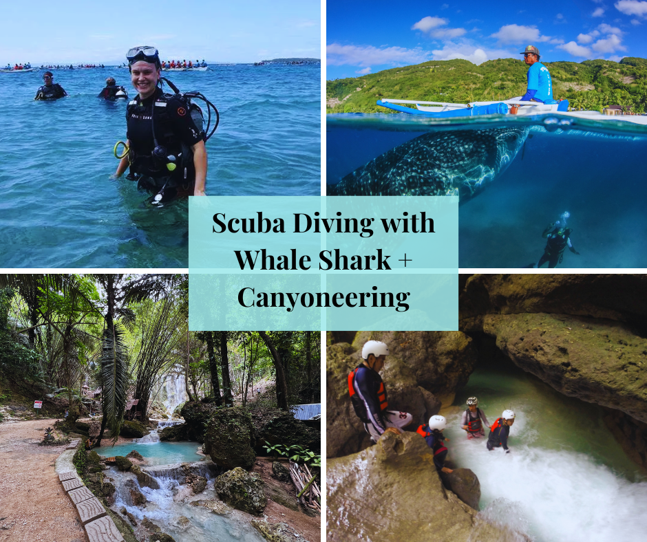 Scuba Diving with Whale Sharks + Canyoneering Adventure - Oslob Whale ...